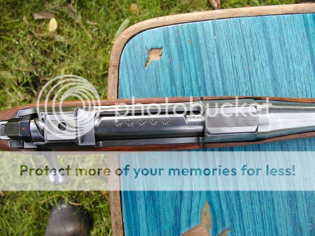 BSA Rifle Identification | The Stalking Directory