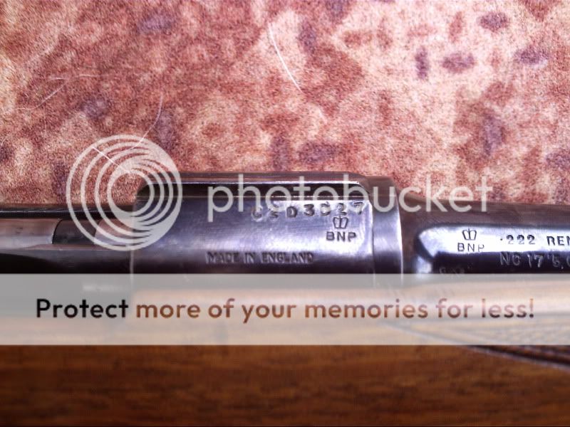 Info on BSA "Hunter" in .222 Rem. | Gunboards Forums