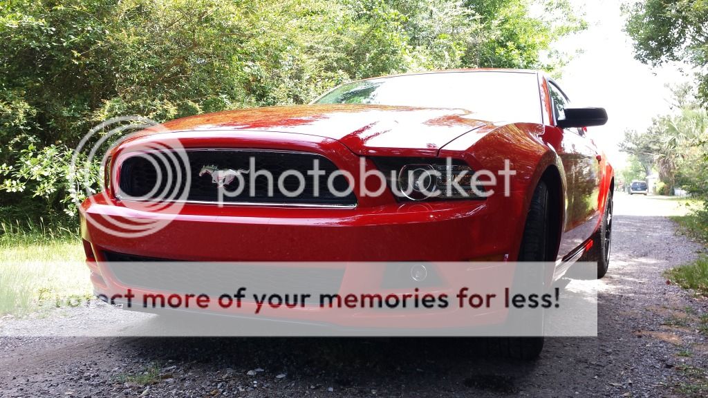 Got a new mustang and need new sig.. | Modded Mustang Forums