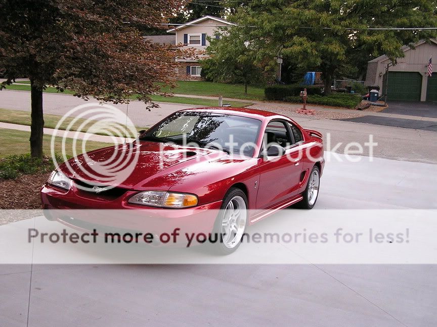 1996 Cobra ?laser red? | Ford Mustang Forums