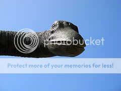 Orange County Museums