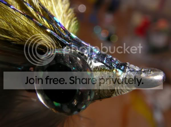 Just Another Bunker Pattern - Fly Tying Forum - SurfTalk