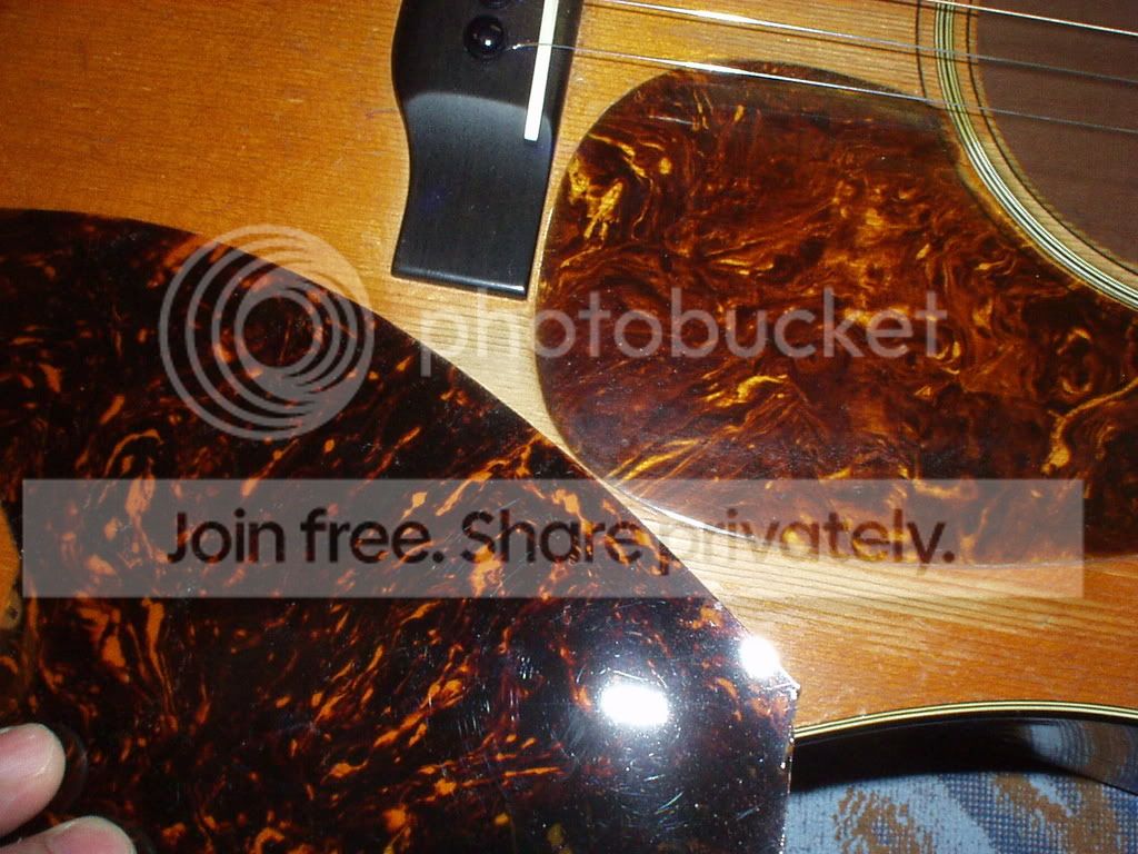 Original Tortoise Pickguard Pictures? - The Unofficial Martin Guitar Forum