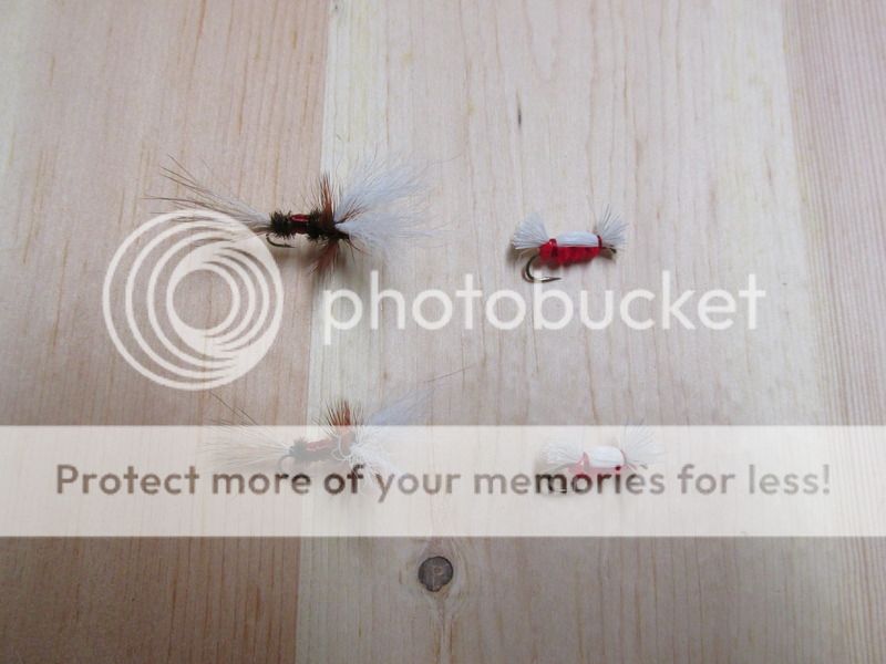 Doodle Bug/Devil Bug - Fly Tying - Maine Fly Fish