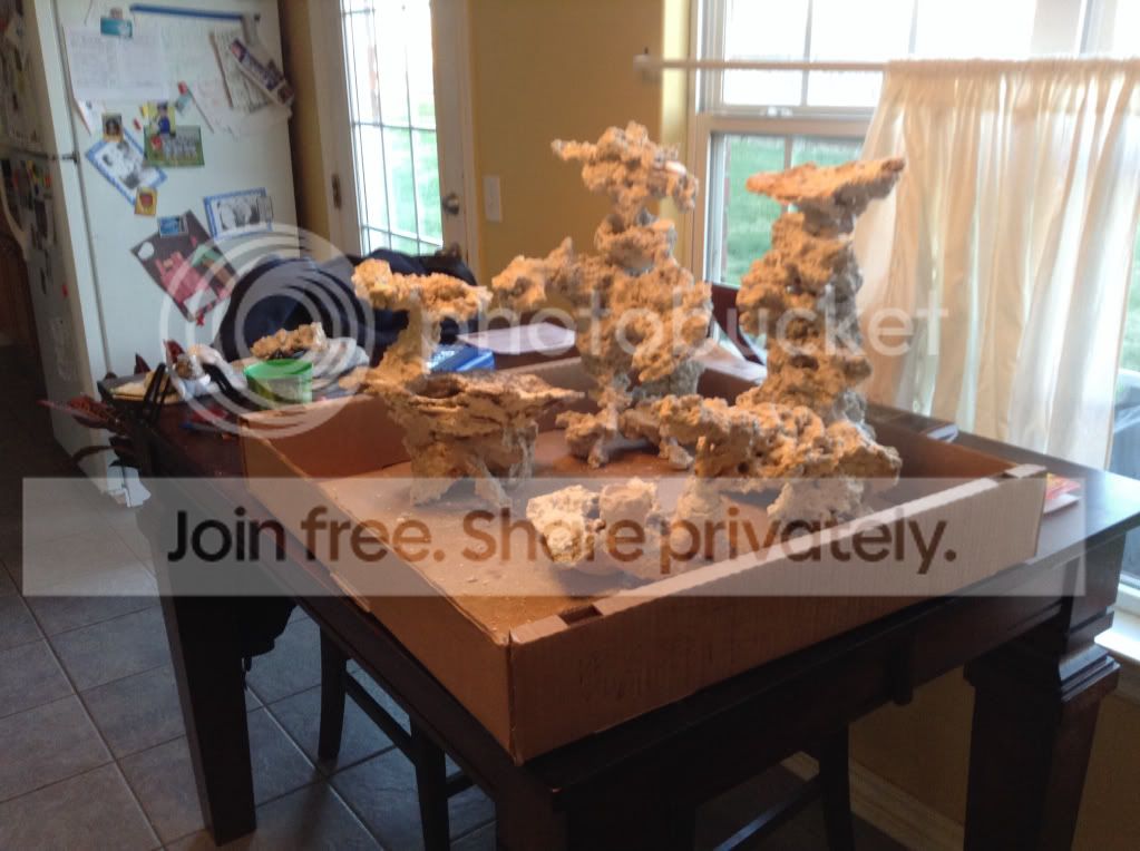 R2R ROCK YOUR REEF Contest: Win a Custom Reef Structure (With ...