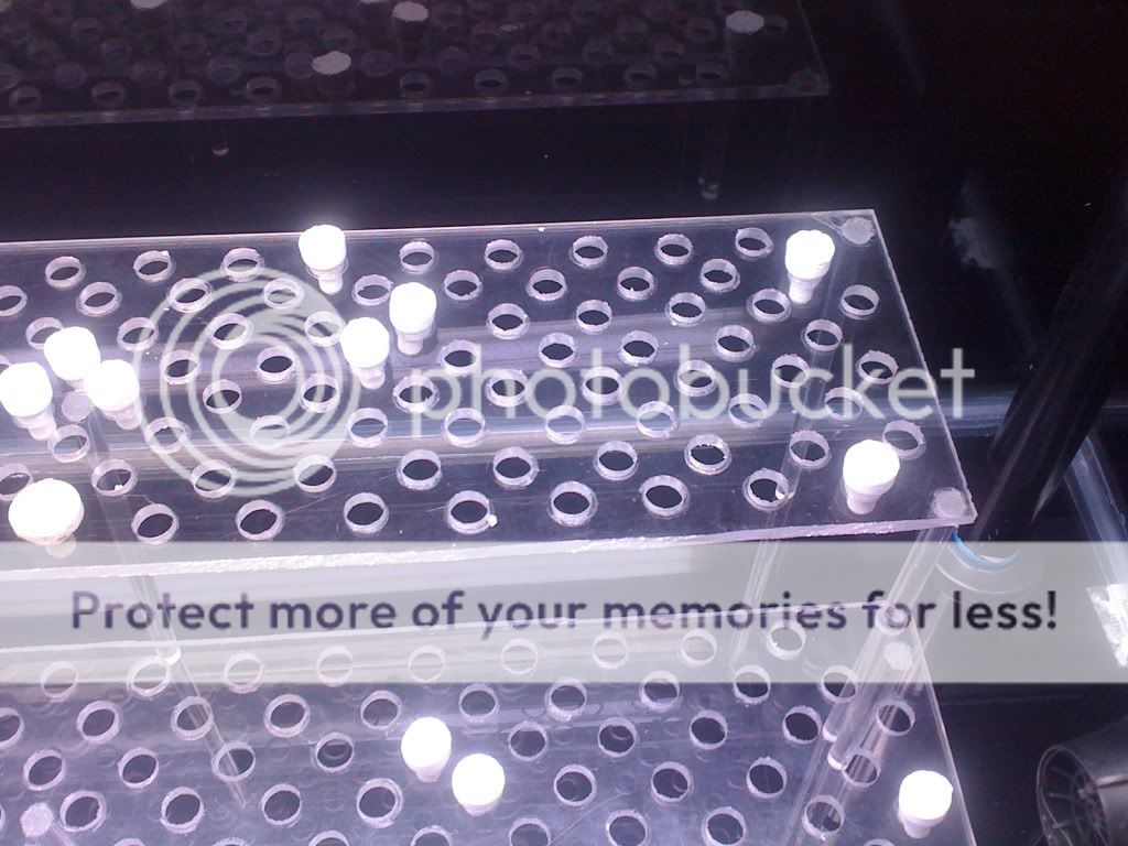 Lets Build a Simple DIY Frag Rack | Reef2Reef