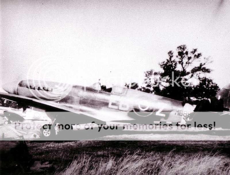 Supermarine Spitfire Mk.XII - Kits - Britmodeller.com