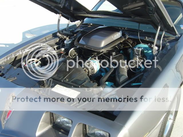 1978 Trans am Battery Tray | Firebird Nation