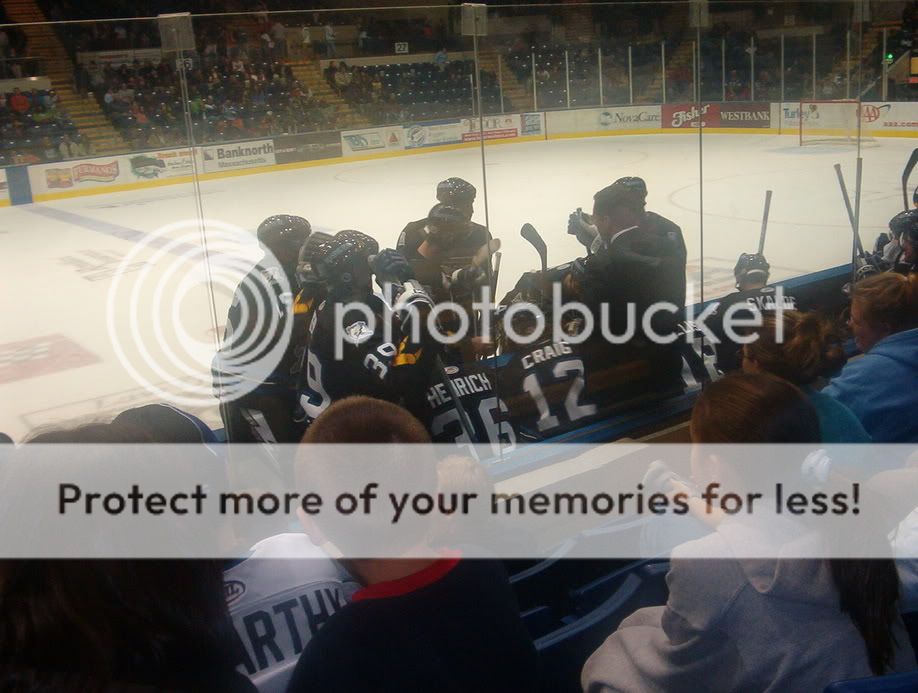 Springfield Falcons Game Pics - Sports In General - Chris Creamer's ...
