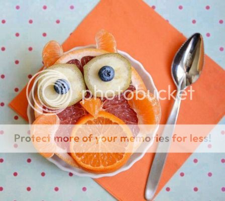 Fruit Owl!! | My So Called Foodie Life