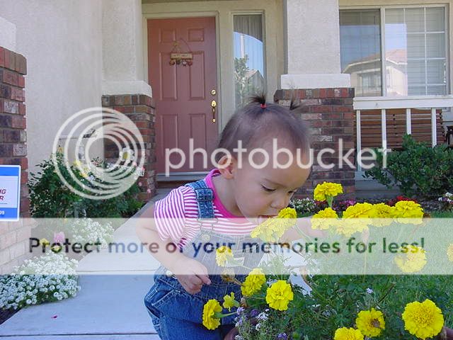 Babies eating grass - BabyCenter