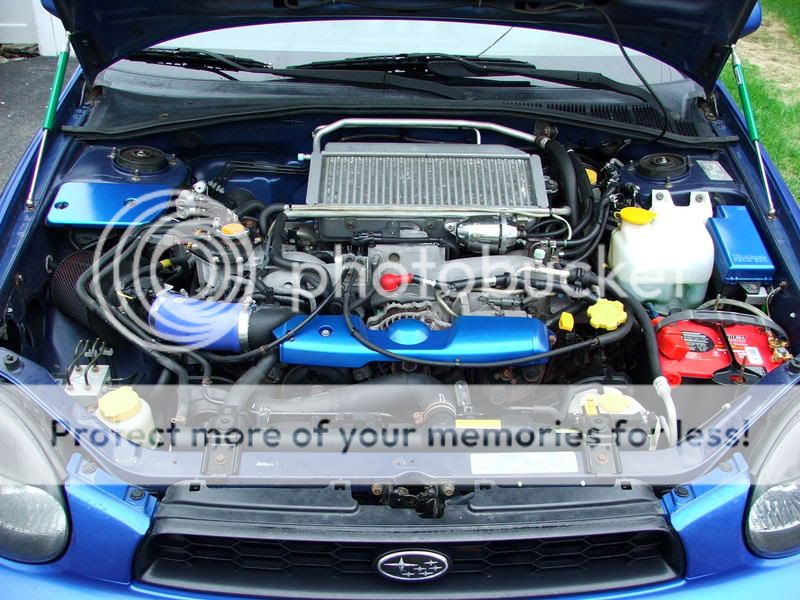 evans wrx + engine build | Mainely Subarus