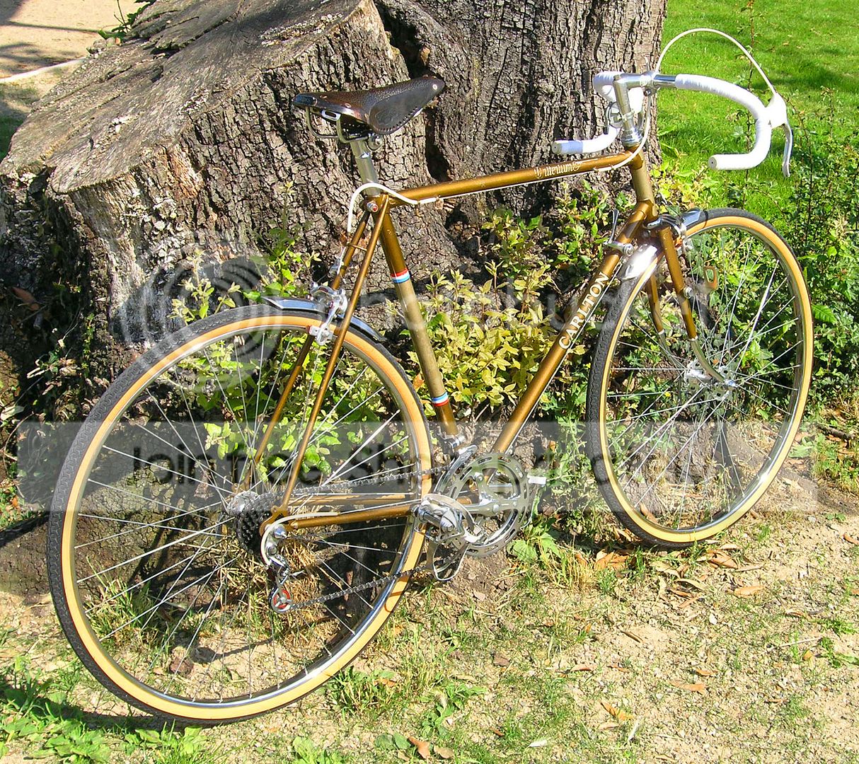 1975 Carlton Criterium and sun | Retrobike