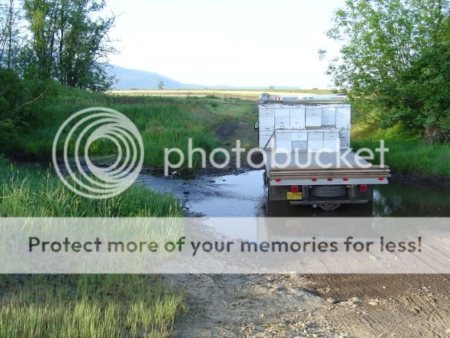 EZ Loaders | Beesource Beekeeping Forums