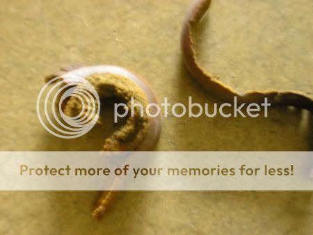 WHERE IS THIS FRIKKIN THING?!?!? | VW Vortex - Volkswagen Forum