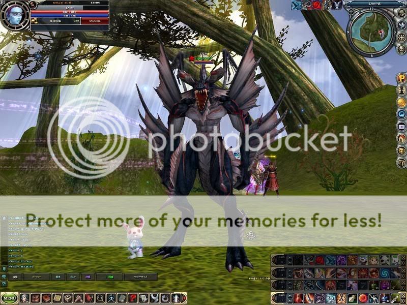 Rohan JP Signup and Translation Guide — MMORPG.com Forums