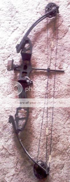 Alpine Micro Compound Bow | Kawasaki Motorcycle Forums