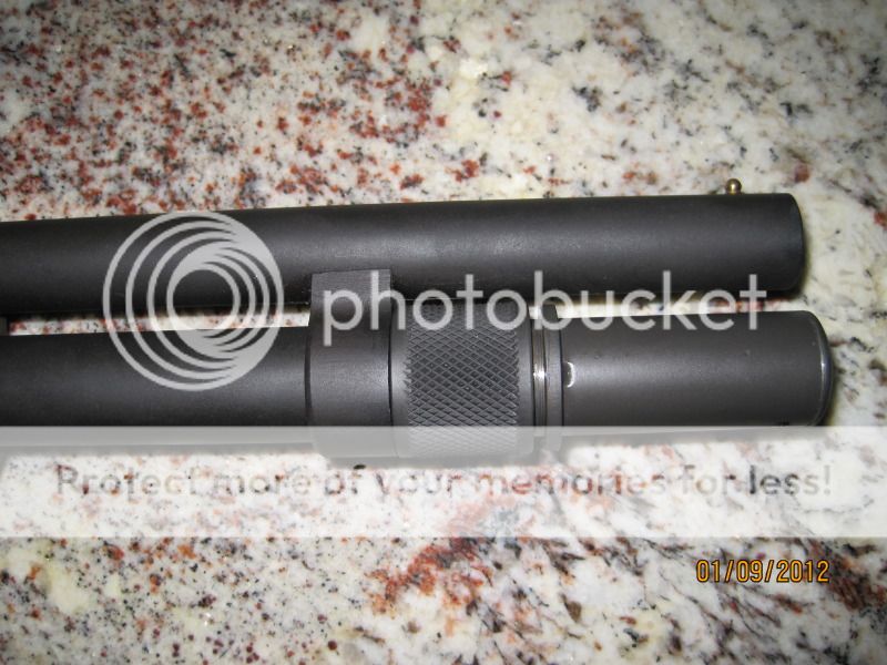 Pardner Protector..now with 7+1 capacity | Shotgun Forum