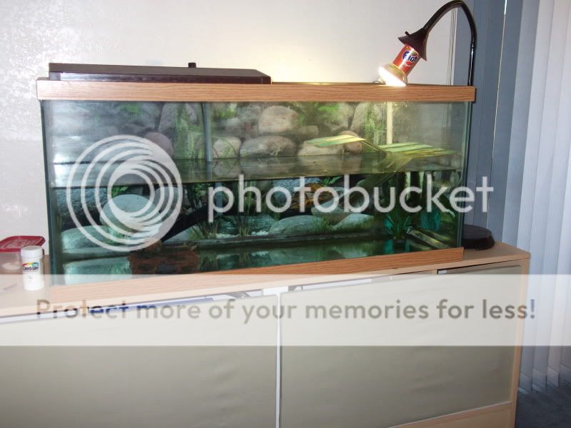 Redearslider.com :: View topic - Combined ATBA and nesting area?