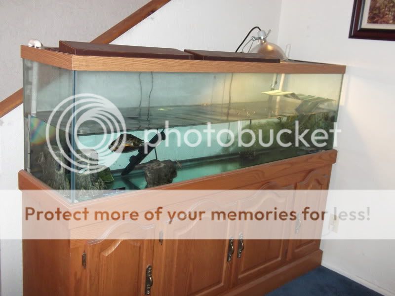 Redearslider.com :: View topic - Combined ATBA and nesting area?