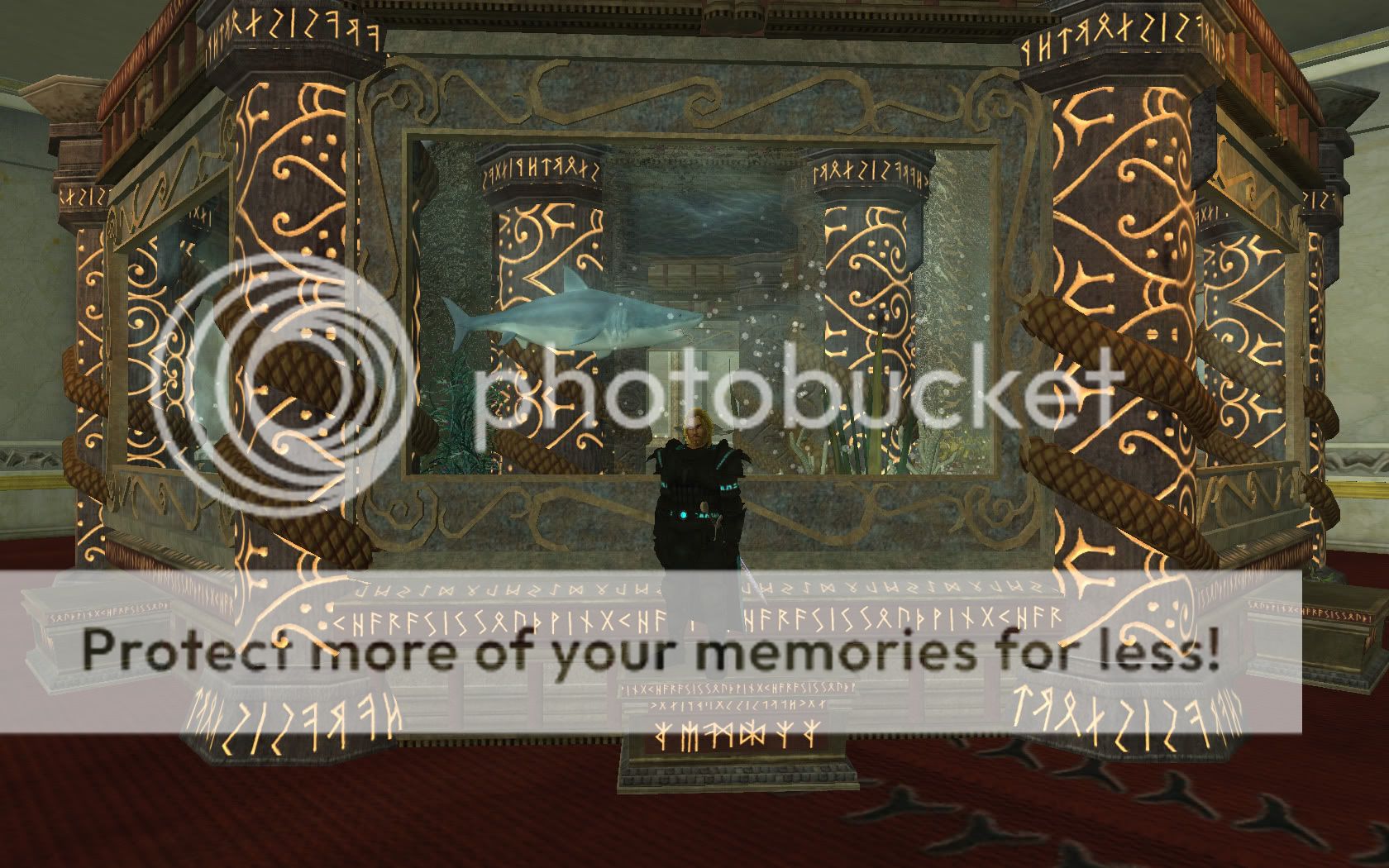 Weary Travellers Guild Hall, Tree House, Aquarium and Stargate ...