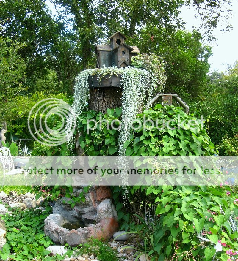 Perennial spillers for containers