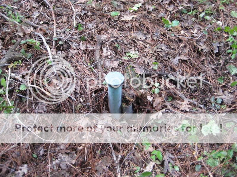 Discussion Forums - RPLS.com