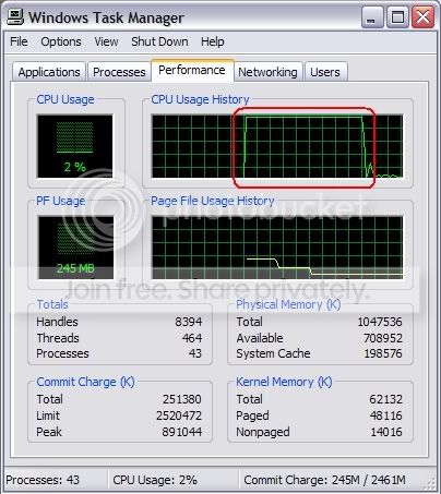 CPU usage always 100%