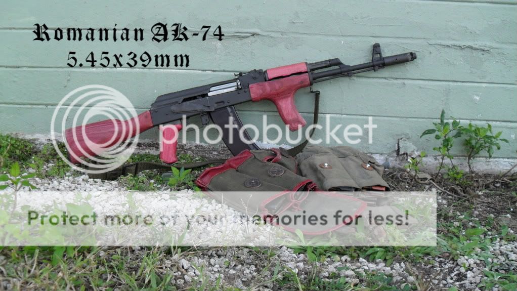 EPR = Evil PINK Rifle | AK Rifles