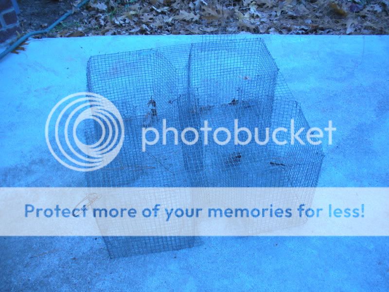 Clover Leaf Fish Bait Trap | Survivalist Forum