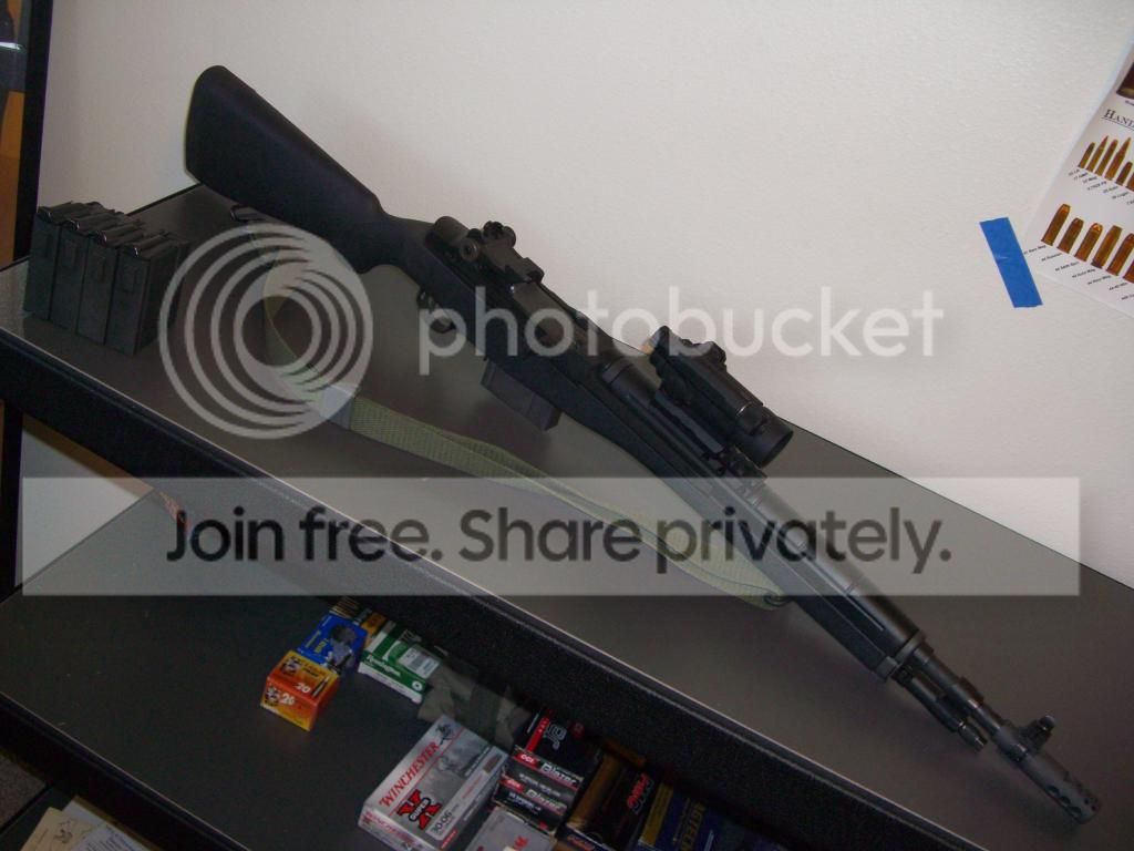WROL/SHTF/Self-Defense/Whatever-you-want-to-call-it Rifle Project ...