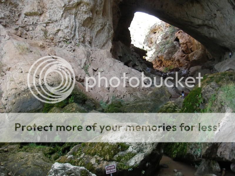 The official "Booger got bored... | Toyota FJ Cruiser Forum