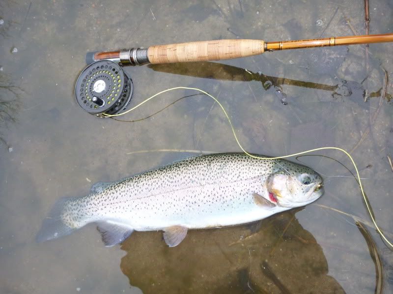 Short Stout Rod Advise - Page 2 - The Classic Fly Rod Forum