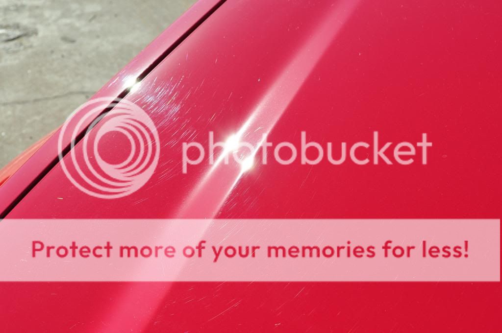 DTAILA's Red Hot SSV Ute.