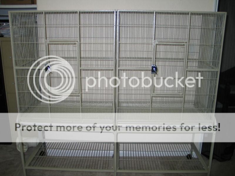 Pico's New Cage[pic heavy] | Avian Avenue Parrot Forum