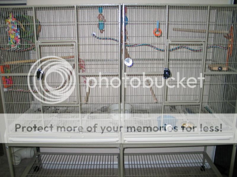 Flight cage recommendations for a conure | Avian Avenue Parrot Forum