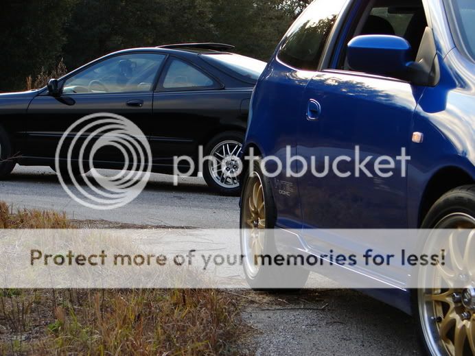 Gold rims on blue teg?Opinions! **PICS** | Team Integra Forums