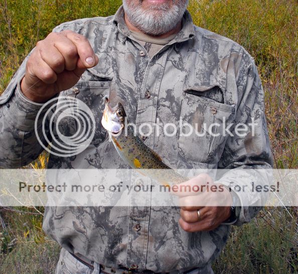 Wyoming Cutt Slam | Utah Wildlife Forum