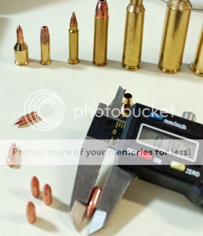 14 Flea | Utah Wildlife Forum