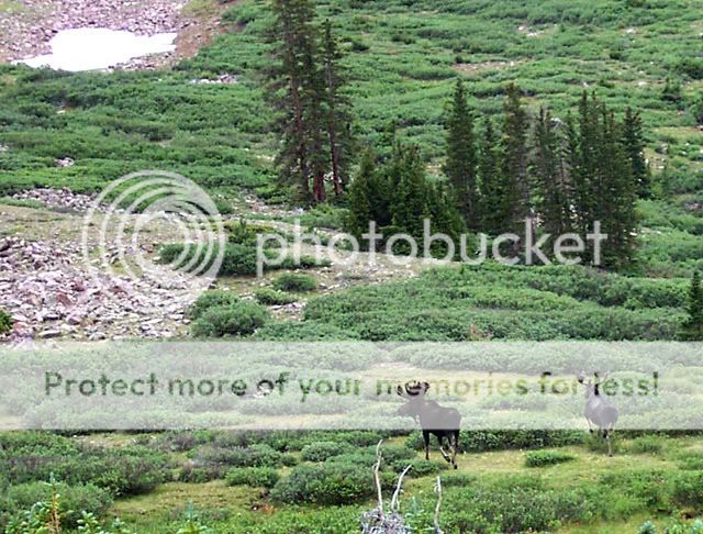 Stateline Reservoir | Utah Wildlife Forum