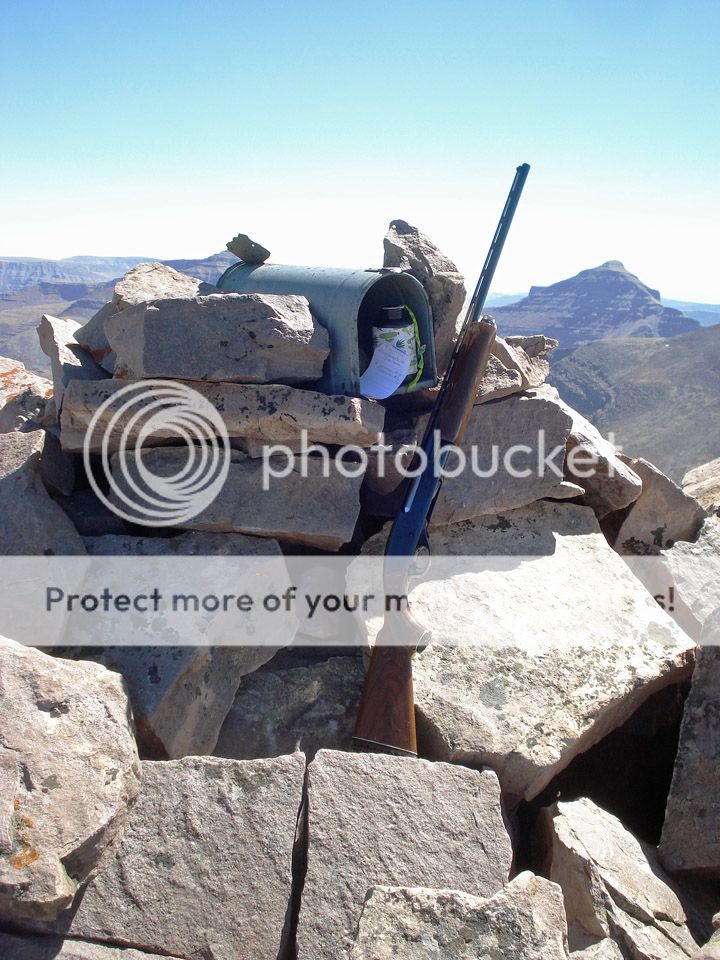 Utah Ptarmigan Hunting for Dummies | Utah Wildlife Forum