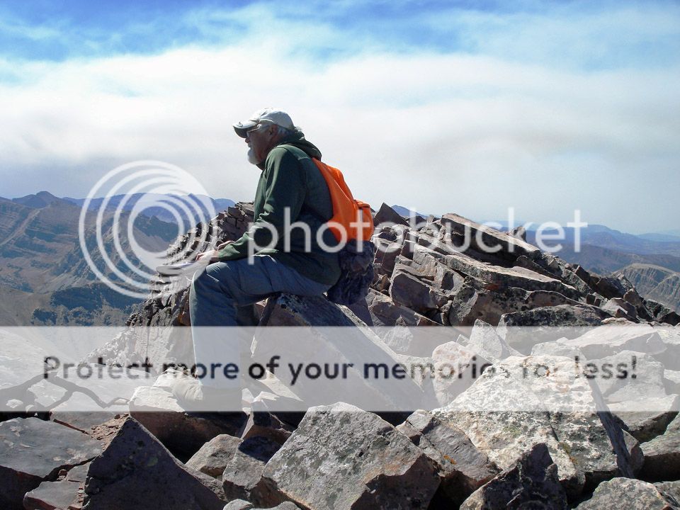 Utah Ptarmigan Hunting for Dummies | Utah Wildlife Forum