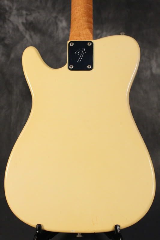 1981 Fender Bullet guitar - OffsetGuitars.com