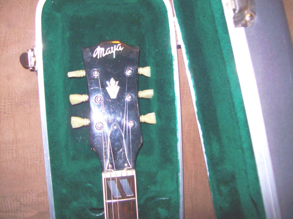 New Guitar Day: Maya (ES-175 Copy)Any Yes fans here? - Electric Guitars ...