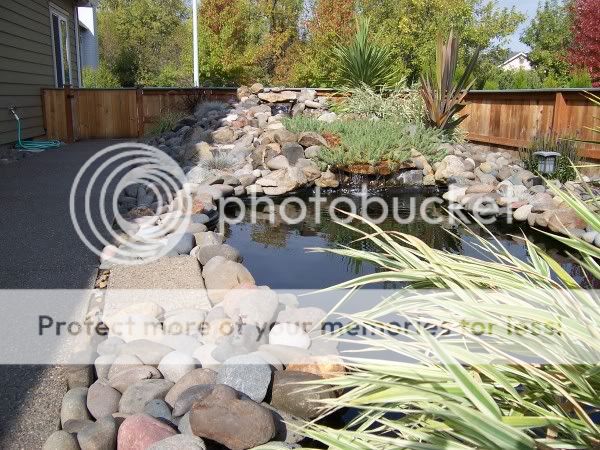 Where can I get the rock border for my pond