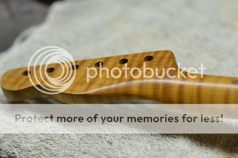 Difference between torrified maple and baked maple? - Electric Guitars ...