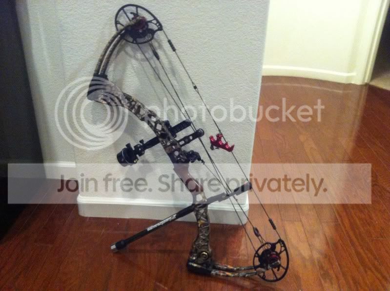 A few pics of my new Mathews mr6 3d/hunting rig | Archery Talk Forum