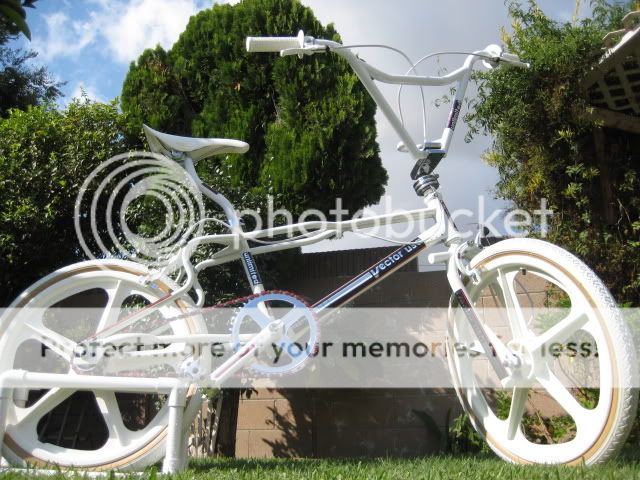 VECTOR INFO NEEDS TO BE POSTED HERE. - BMXmuseum.com Forums
