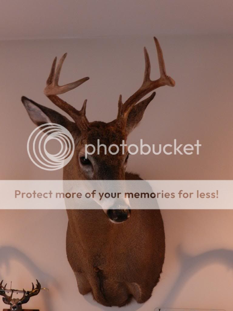 Hooking Pose | Michigan Sportsman Forum