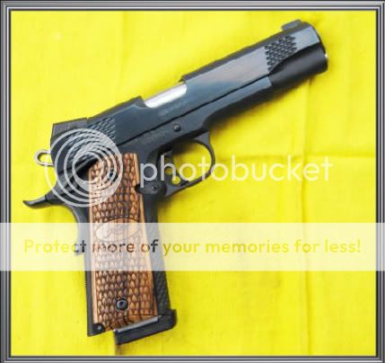 Kimber Raptor II « Gunner’s Journal